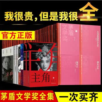 茅盾文学奖获奖作品全集【套装1-10届48种94册】尘埃落定/长恨歌/英雄时代/少年天子/钟鼓楼小说