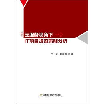 云服务视角下IT项目投资策略分析