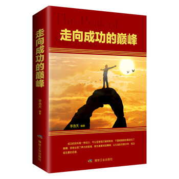 走向成功的巅峰