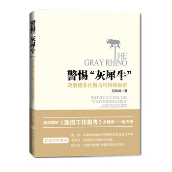 警惕“灰犀牛”：政府债务化解与可持续融资