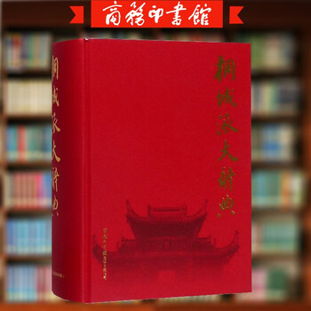 桐城派大辞典 知识性与学术性兼备的全面介绍桐城派文化的大型专科工具书桐城派 历史文化知识文化遗存讲解参考资料