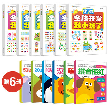 学前全脑开发（套装共6册）