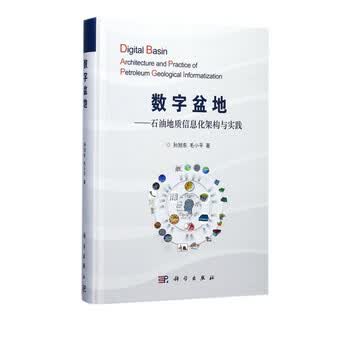 数字盆地--石油地质信息化架构与实践(精)