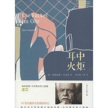 耳中火炬
