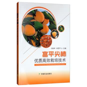 富平尖柿优质高效栽培技术