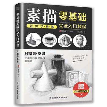 零基础素描完全入门教程：轻松学素描（从新手到高手的进阶，只需30堂课，教您快速掌握素描要领）