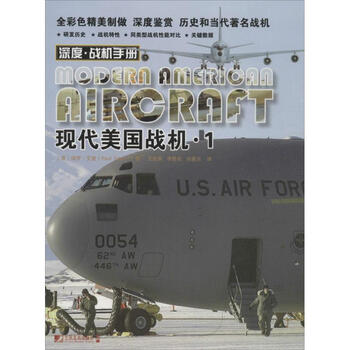 现代美国战机 (1)