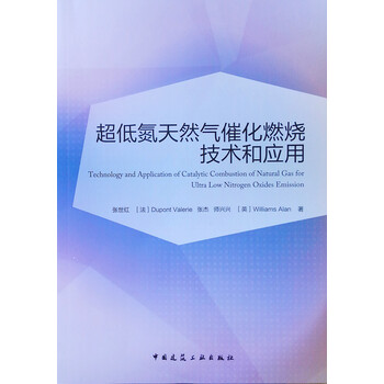 超低氮天然气催化燃烧技术和应用
