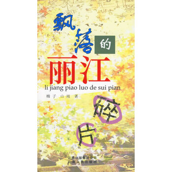 飘落的丽江碎片【正版图书】