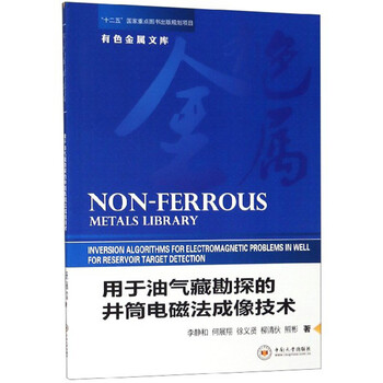 用于油气藏勘探的井筒电磁法成像技术