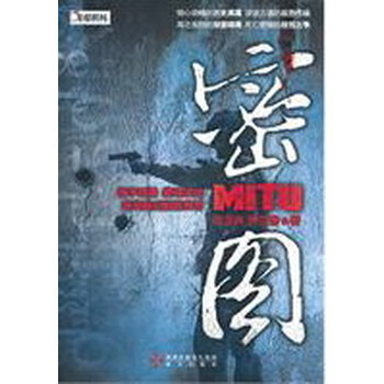 密图 小说 汪卫兴 海天出版社 9787807479314