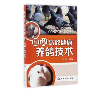 图说高效健康养鸽技术