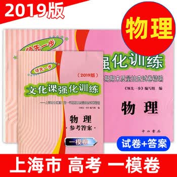 2019版领先一步 高考一模卷 物理 试卷+参考答案 上海市各区高三第一学期期末质量抽查试卷精编 中