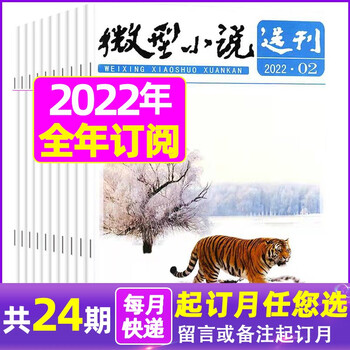 1-4月现货【全年24期订阅】微型小说选刊杂志2022年1-12月短篇小说散文原创故事 B组2022年1-12月