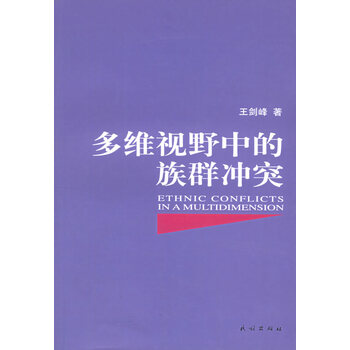 多维视野中的族群冲突
