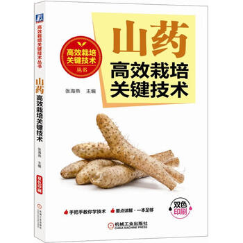 山药高效栽培关键技术