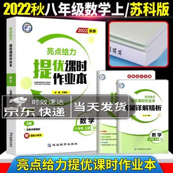 2022秋亮点给力提优课时作业本八年级上册数学苏科版江苏专用 数学人教版 八年级