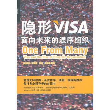 隐形VISA:面向未来的混序组织【正版图书】