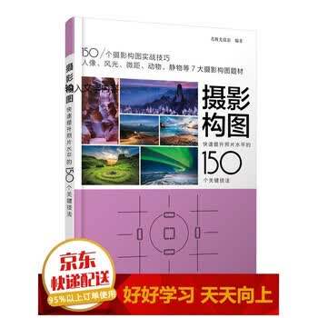 摄影构图 快速提升照片水平的150个关键技法【已选择系列为准】