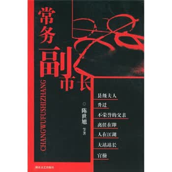 常务副市长【正版图书】