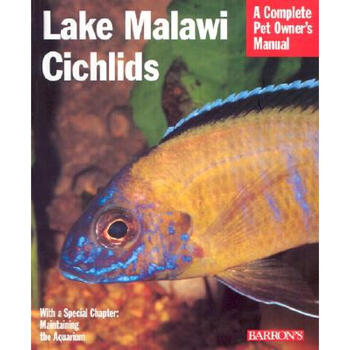 Lake Malawi Cichlids