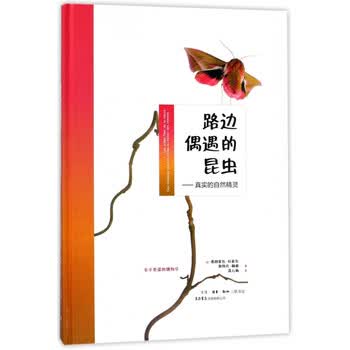 路边偶遇的昆虫--真实的自然精灵(精)