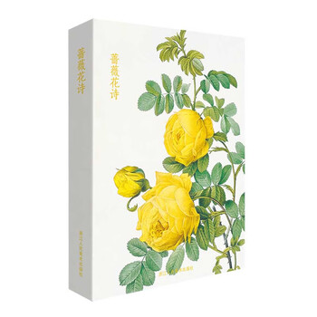 出类艺术明信片：蔷薇花诗