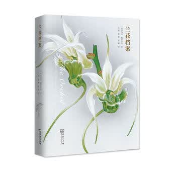 兰花档案