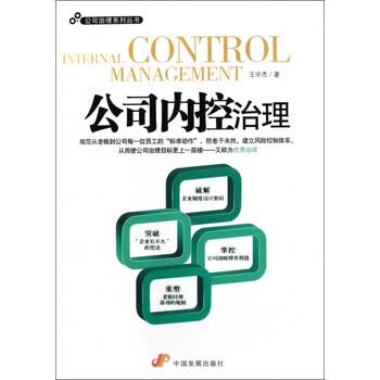 公司内控治理/公司治理系列丛书