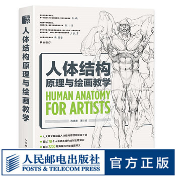 人体结构原理与绘画教学 春哥人体结构基础教程书艺用人体解剖伯里曼人体结构