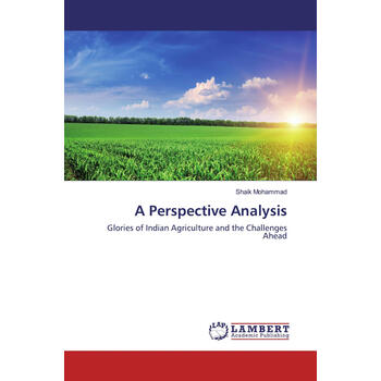 A Perspective Analysis