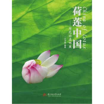 荷莲中国:荷花你在哪里 摄影 王力建编著 华中科技大学出版社 9787568016179