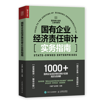 国有企业经济责任审计实务指南 国企审计工具书财务报告审计报告会计财务报表普华审计实务工具书审计目标内容程序流程书