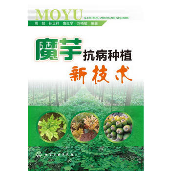 魔芋抗病种植新技术