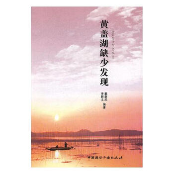 黄盖湖缺少发现 小说 书籍