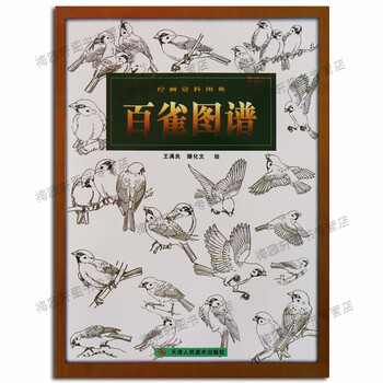 百雀图谱 素描 画鸟画 国画书籍入门技法教材 国画技法 国画赏析 绘画书籍 天津人民美术出版社