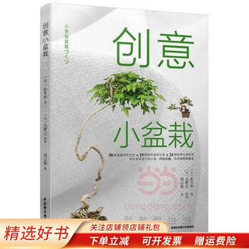 创意小盆栽 主妇之友