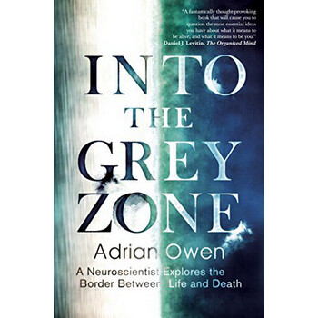 Into the Grey Zone EXP