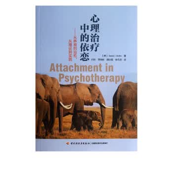 心理治疗中的依恋--从养育到治愈从理论到实践
