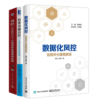 包邮 一本书看透信贷+风控 大数据时代下的信贷风险管理和实践+互联网消费金融 信贷业务全流程