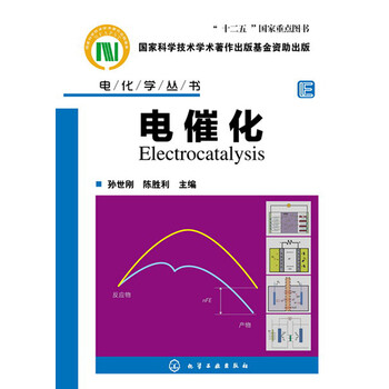 正版电化学丛书--电催化 孙世刚 化学工业出版社书籍