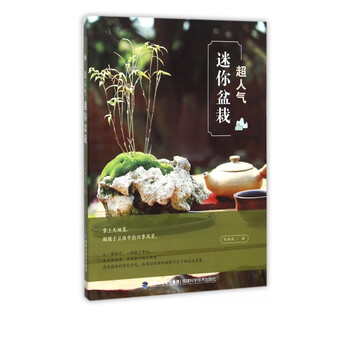 超人气迷你盆栽