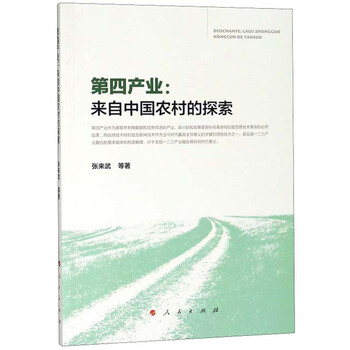 第四产业：来自中国农村的探索