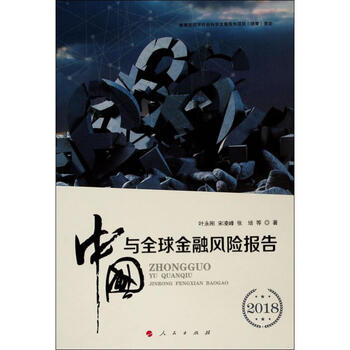 中国与全球金融风险报告 2018