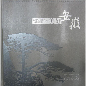 美好安徽 安徽省人民政府新闻办公室 编