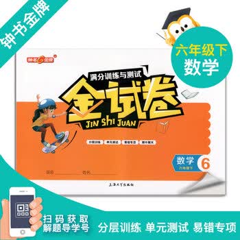 金试卷 数学 6/六年级下 上海版 满分训练与测试