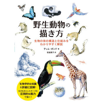 进口日文 野生动物的画法 野生動物の描き方 生物の体の構造と仕組み