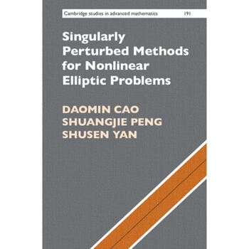 Singularly Perturbed Methods for Nonlinear E...