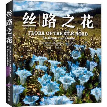 丝路之花