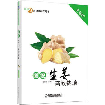 出国留学一本通 严明,陆云云 著